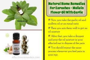 23 Natural Home Remedies For Earaches In Adults