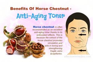 Top 10 Health Benefits Of Horse Chestnut: Its Uses & Side Effects